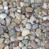 GitHub - conchincradle/autoencoder-perceptual-loss