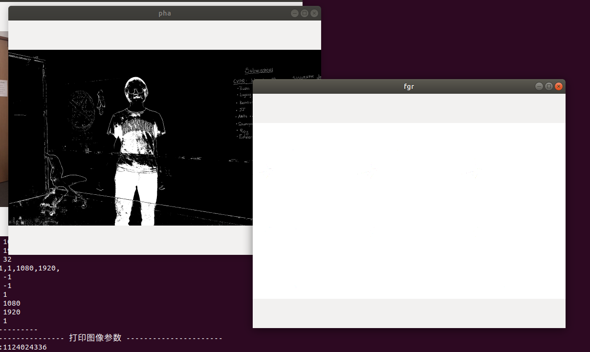 issue after convert to onnx and openvino · Issue #57 · PeterL1n/BackgroundMattingV2 · GitHub