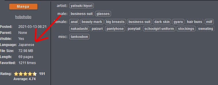 Japanese language "tag" · Issue #422 · Difegue/LANraragi · GitHub
