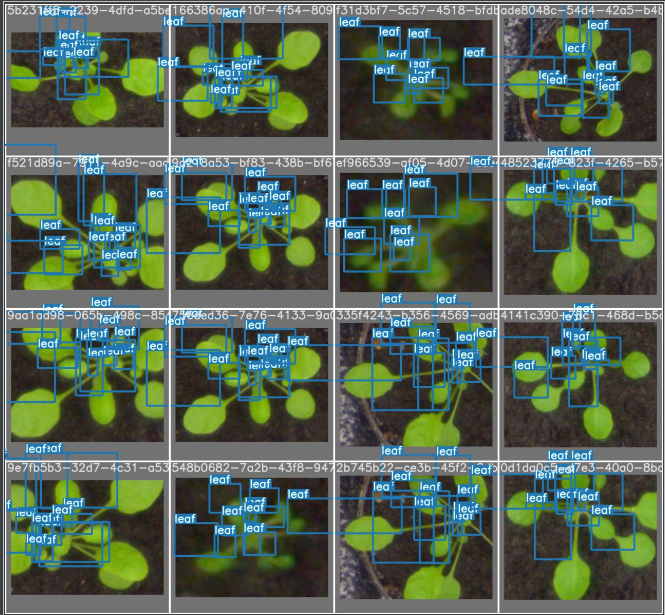 Mis-aligned bounding boxes in test_batch_labels · Issue #1782 ...