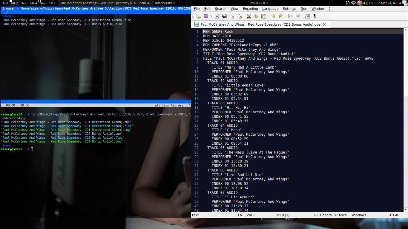 Cmus doesn't see CUE files in the browser (Gentoo) · Issue #886 · cmus/cmus · GitHub