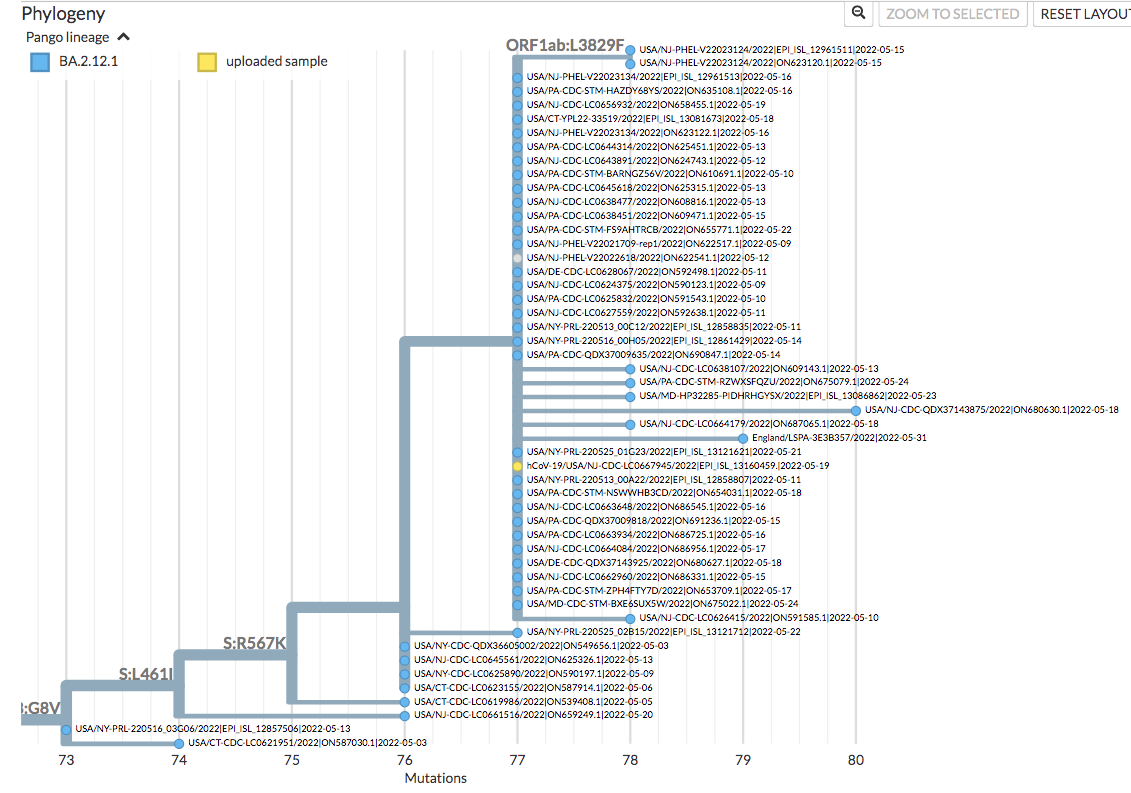 New BA.2.12.1 Sublineage with S:L461I and S:R567K · Issue #737 · cov ...