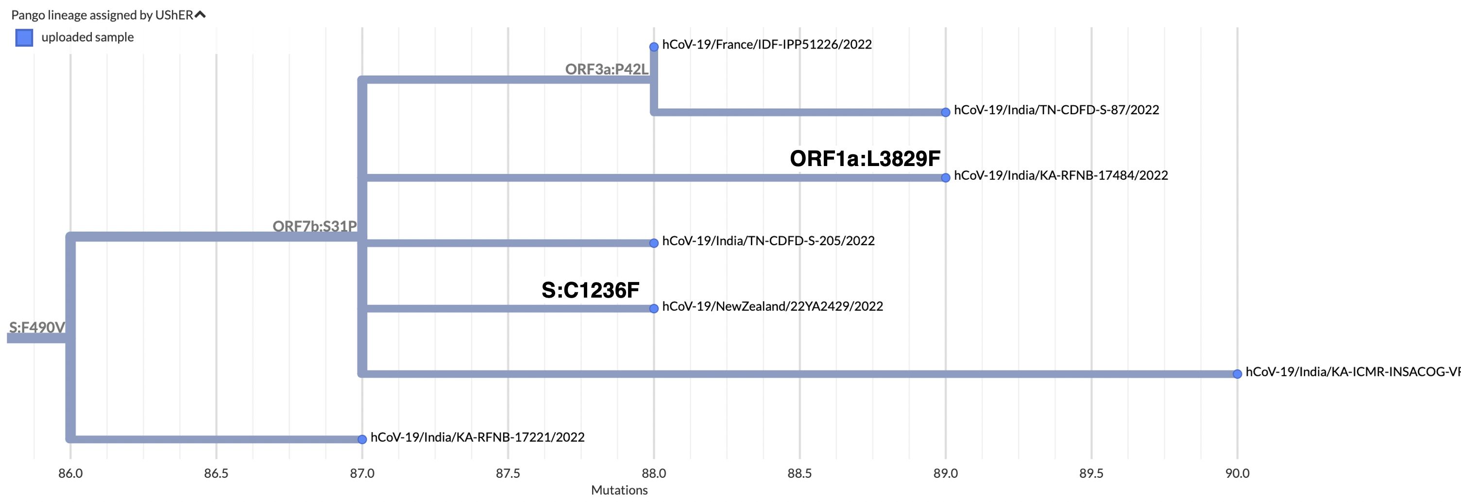 Collection of BL.1 spike diversity · Issue #1167 · cov-lineages/pango ...