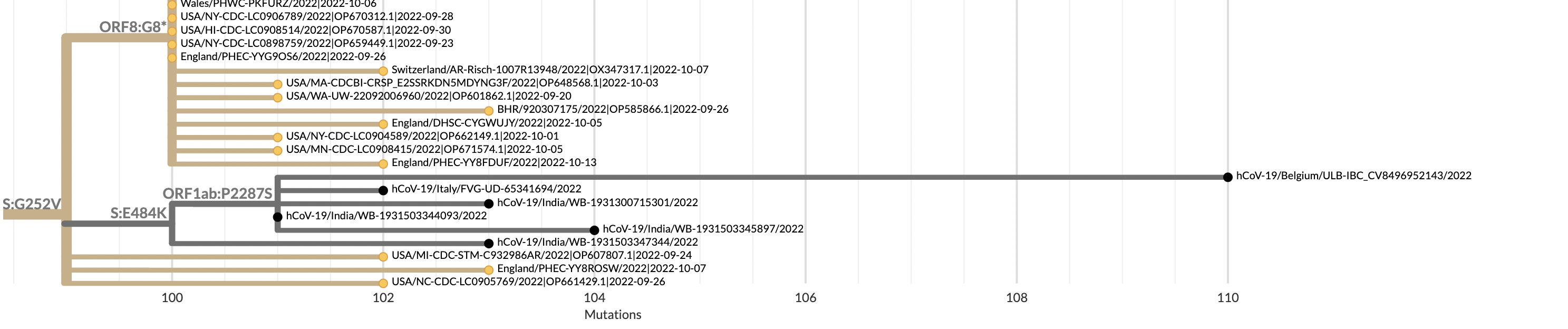 Collection of XBB Spike diversity · Issue #1201 · cov-lineages/pango-designation · GitHub