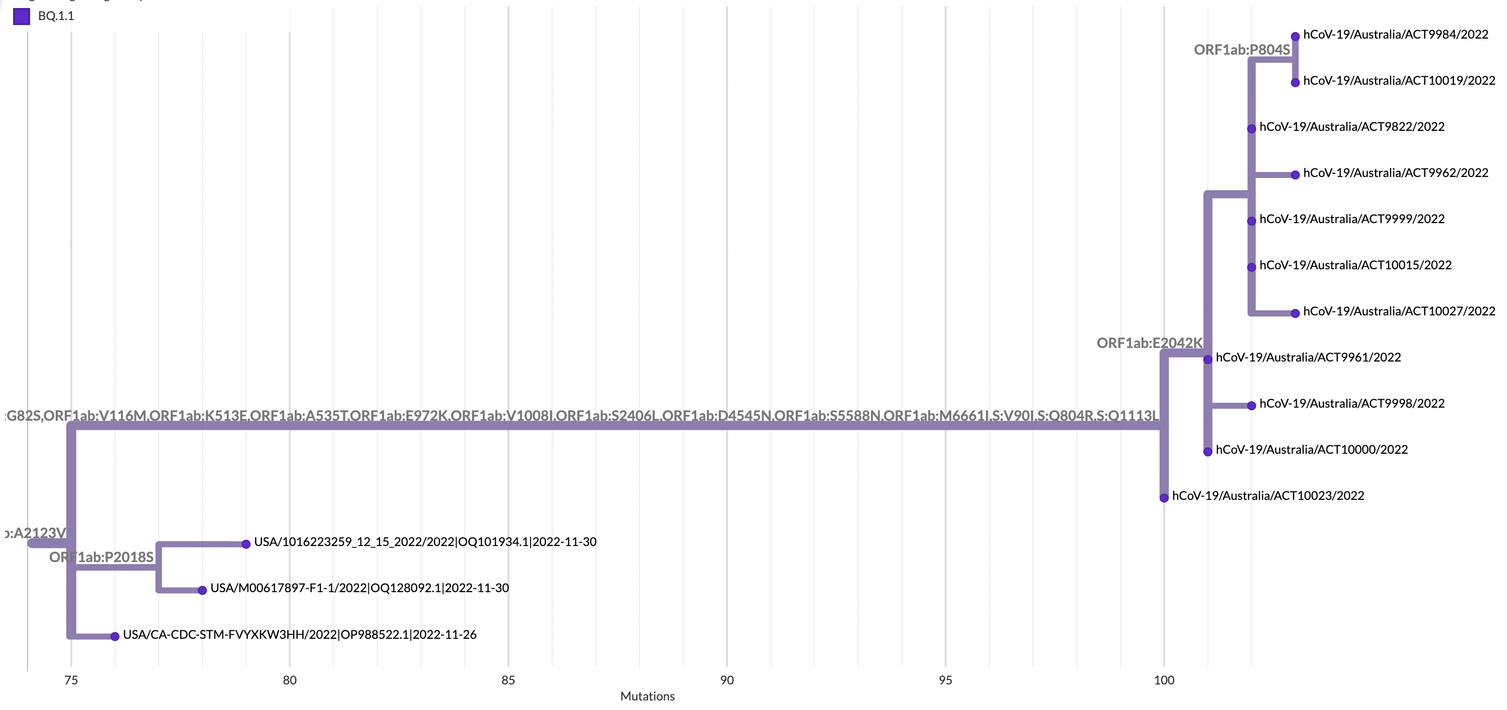 Highly Divergent BQ.1.1 Sublineage, 27 Private Nuc Mutations, Probable Molnupiravir Origin (14 ...