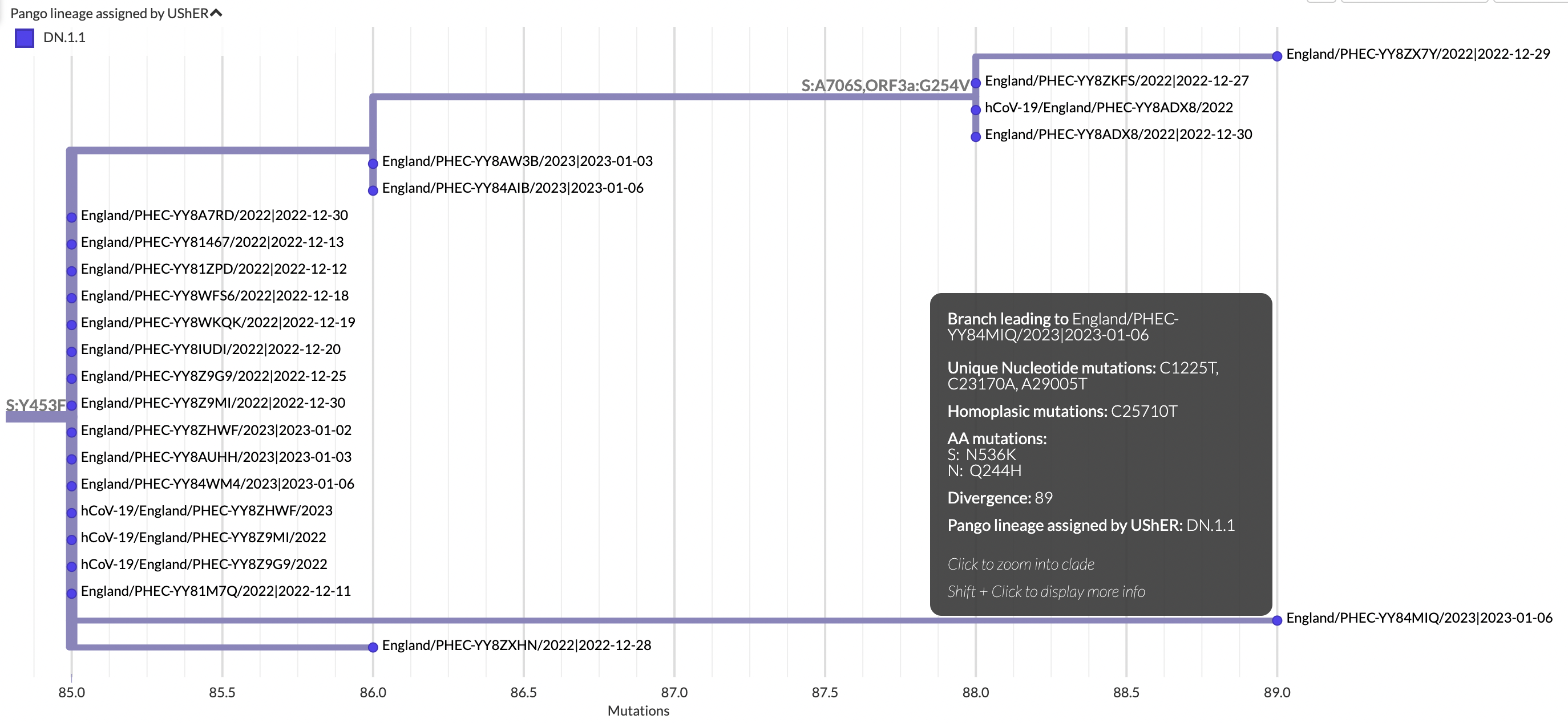 DN.1.1 Sublineage with S:Y453F, ORF1a:V721I, & ORF1a:N2752S [28 seq ...