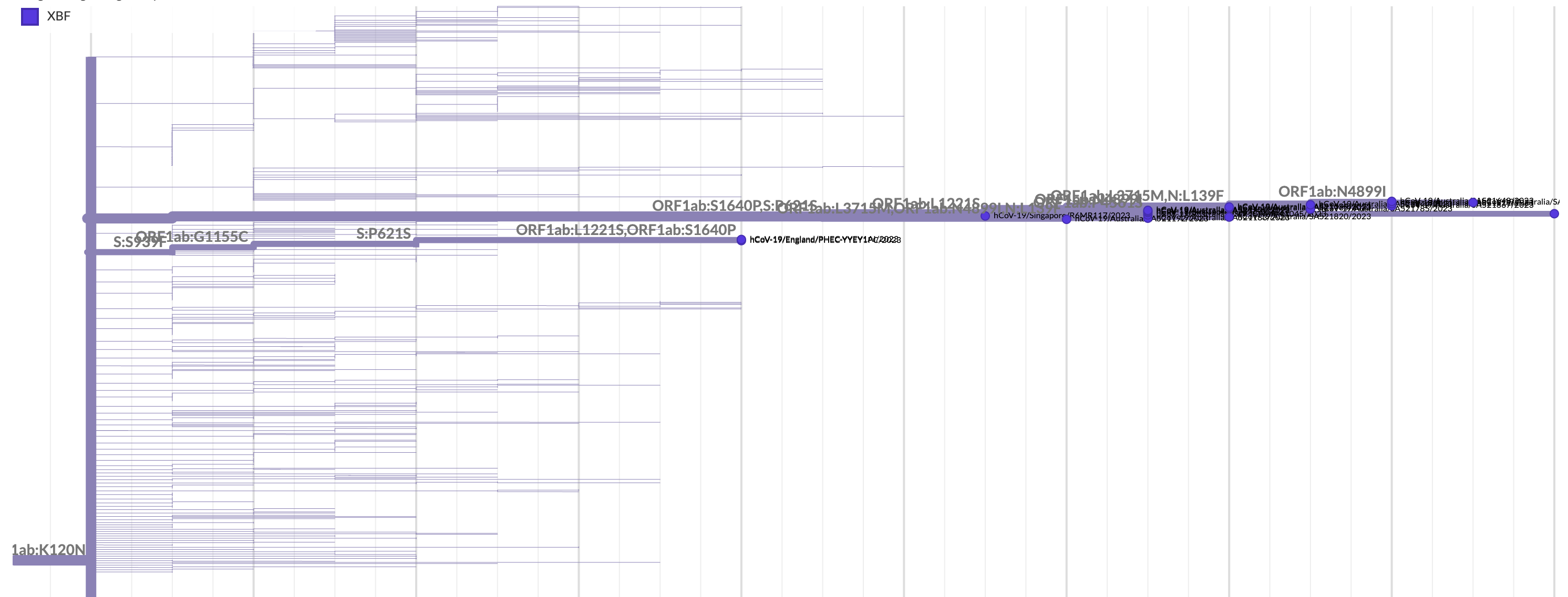 XBF Sublineage with S:P621S (48 seq, Feb 28) · Issue #1651 · cov-lineages/pango-designation · GitHub