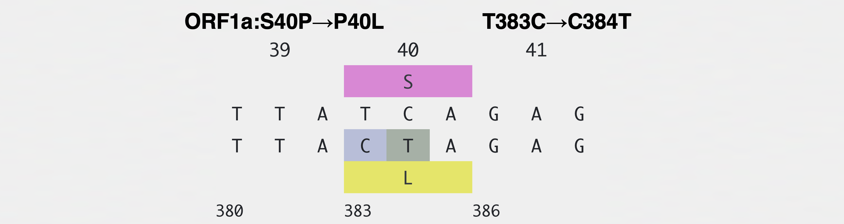 DV.3.1 (CH.1.1.1.3.1) Sublineage with S:T22N, S:Q493L, ORF1a:S40L, ORF1a:M85I, ORF1a:A474T ...