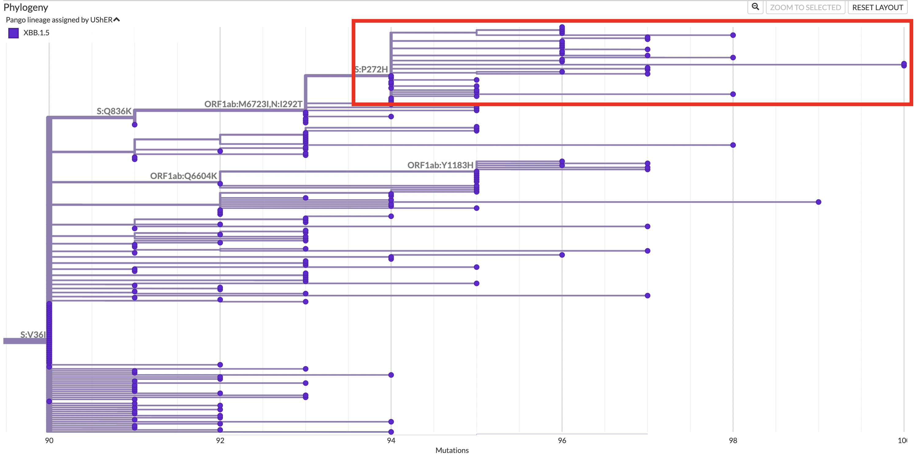 XBB.1.5 Sublineage with S:V36I, S:P272H, S:Q836K, N:I292T, ORF1b:M2322I ...