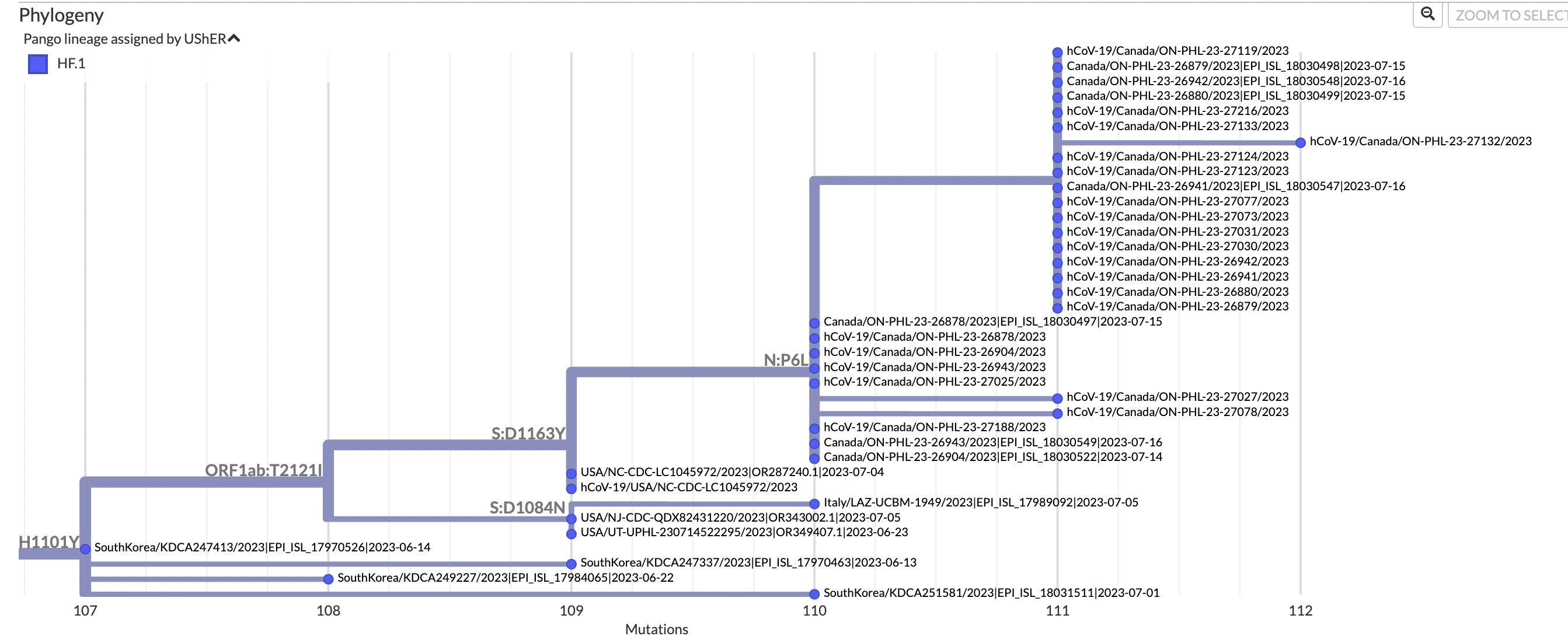 HF.1 (XBB.1.16.13.1) Sublineage with S:H1101Y, S:D1163Y, N:A35T, ORF1a:T2121I, ORF1b:V1228L ...