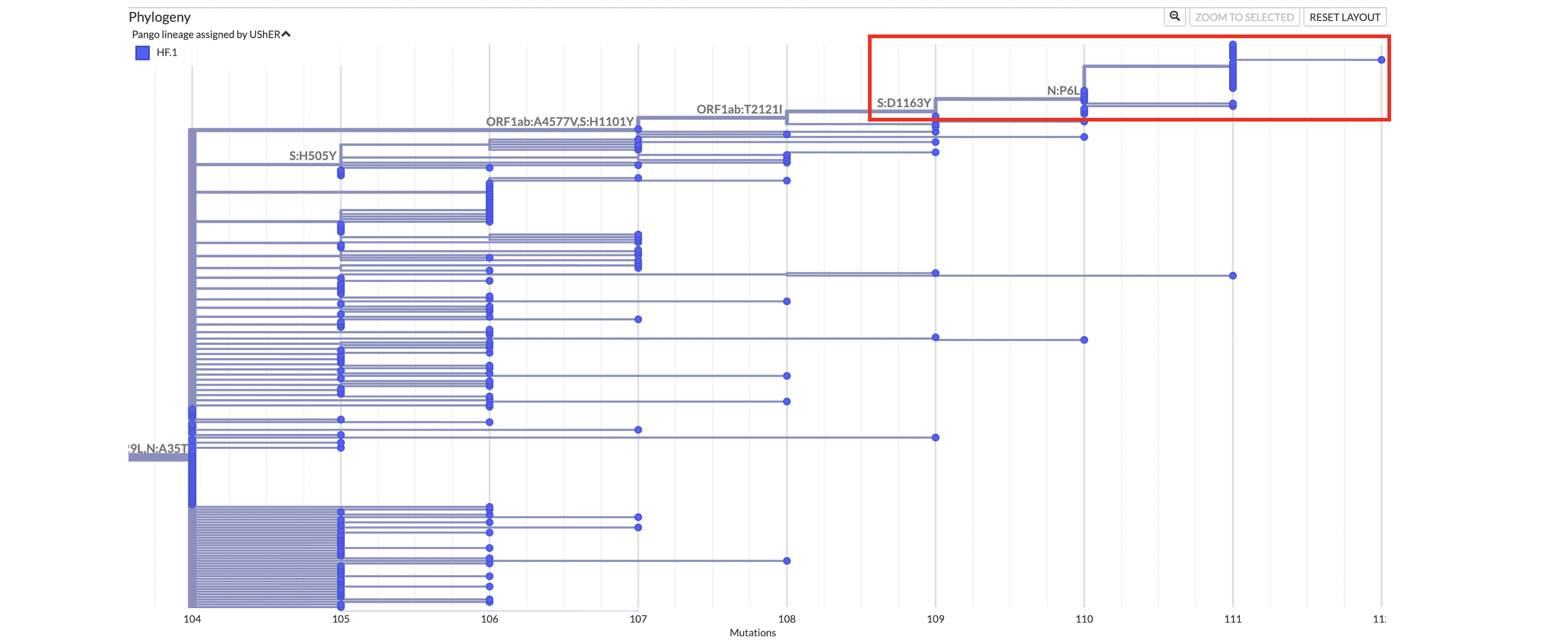 HF.1 (XBB.1.16.13.1) Sublineage with S:H1101Y, S:D1163Y, N:A35T, ORF1a:T2121I, ORF1b:V1228L ...