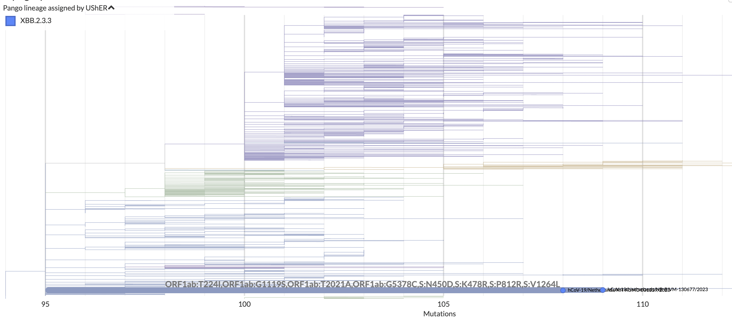 XBB.2.3.3 Sublineage w/new S2' FCS—S:N450D, S:K478R, S:P812R, S:V1264L + 4x ORF1ab (Netherlands ...