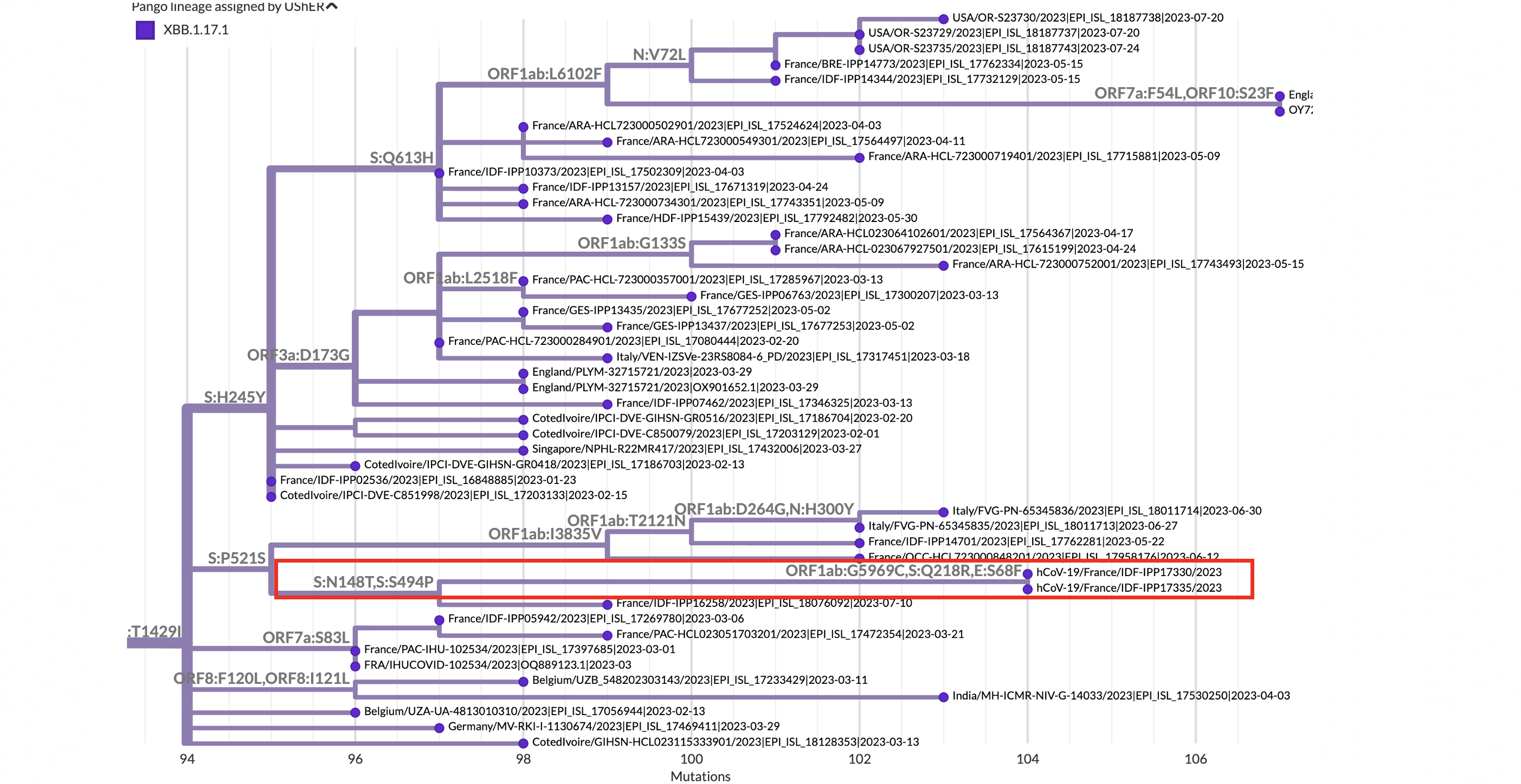XBB.1.17.1 Sublineage with S:N148T, S:∆177-181, S:Q218R, S:S494P, S:P521S, E:S68F, ORF1a:E622G ...