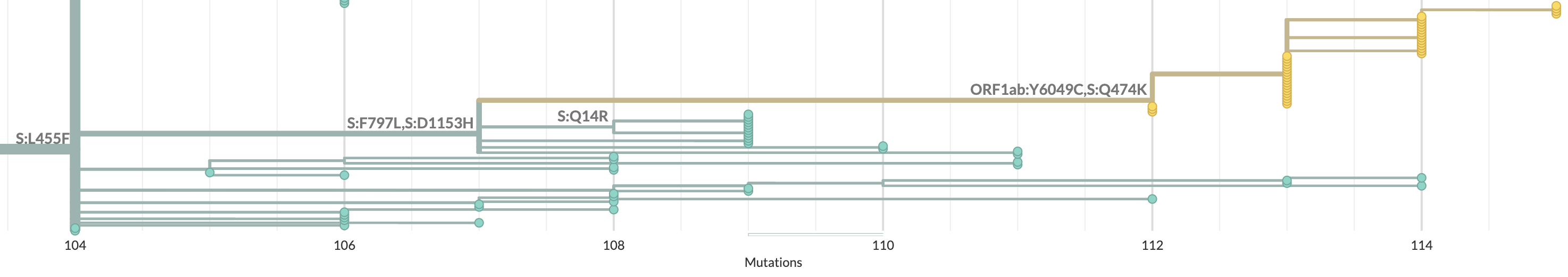 HK.13.2 (S:F797L, S:D1153H) with further rare mutations: S:Q474K, ORF9b ...