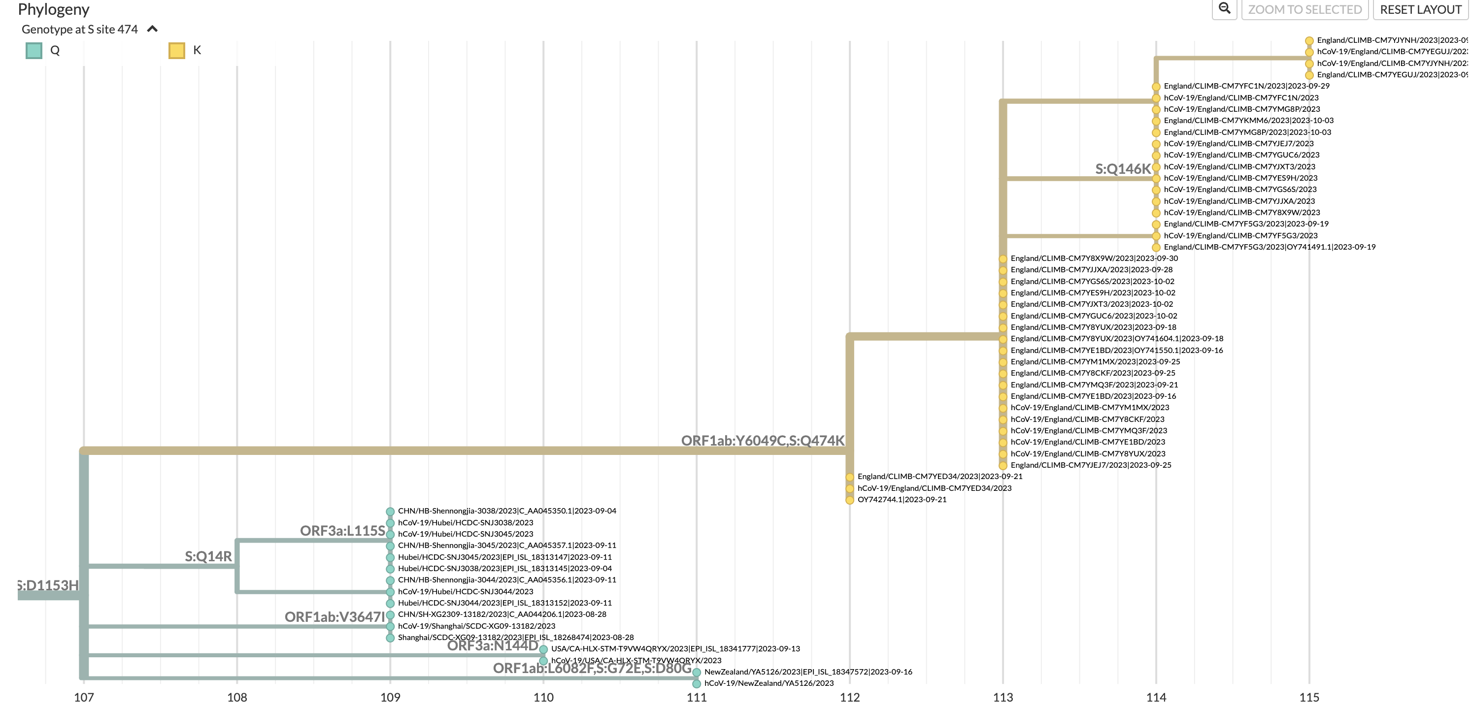 HK.13.2 (S:F797L, S:D1153H) with further rare mutations: S:Q474K, ORF9b ...