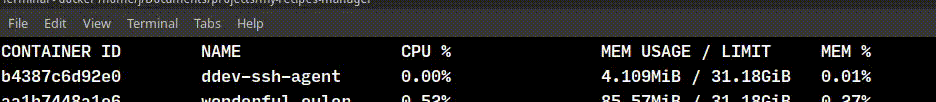 `ddev Ssh Agent` Cpu Consumption · Issue 1663 · Ddevddev · Github