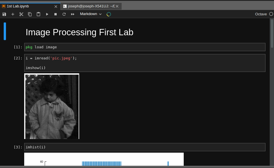 can't produce dark theme documents despite resetting Jupyter settings · Issue #1560 · jupyter ...