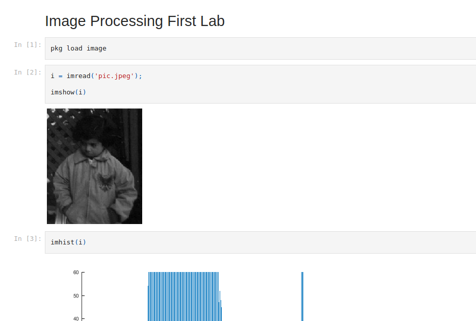 Can T Produce Dark Theme Documents Despite Resetting Jupyter Settings · Issue 1560 · Jupyter