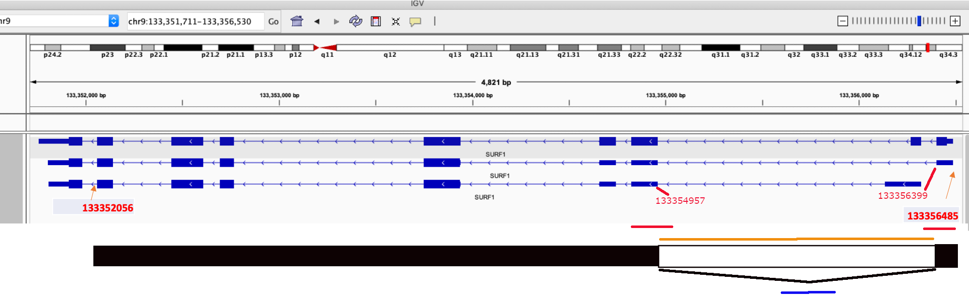 outputs for retained intron · Issue #196 · Xinglab/rmats-turbo · GitHub