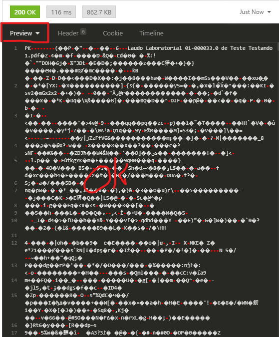 When The User Switches To Raw Data Viewing Mode In A Binary File