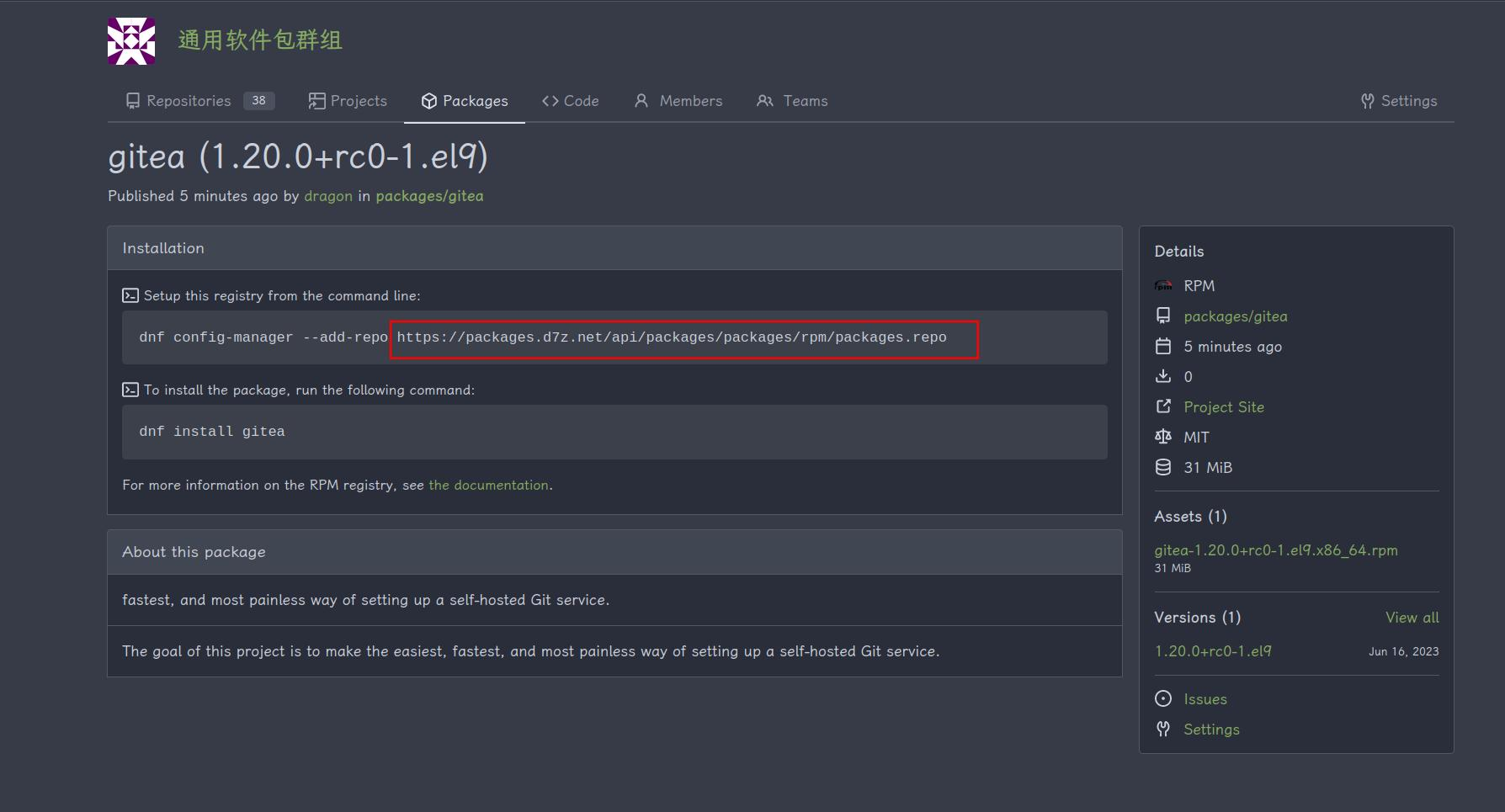a problem with the documentation related to the "packages" · Issue #25302 · go-gitea/gitea · GitHub