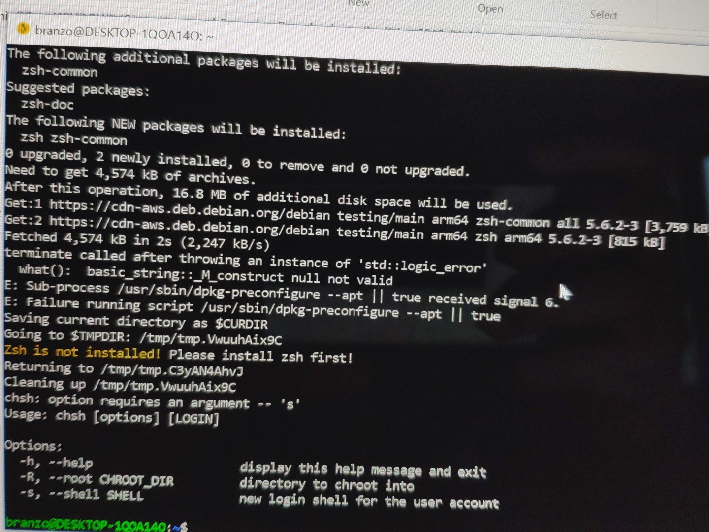 Fix zsh on arm64 · Issue #307 · WhitewaterFoundry/Pengwin · GitHub