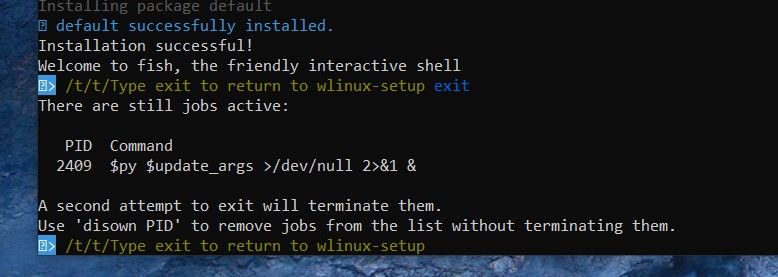 fish install is a bit messy · Issue #378 · WhitewaterFoundry/Pengwin ...