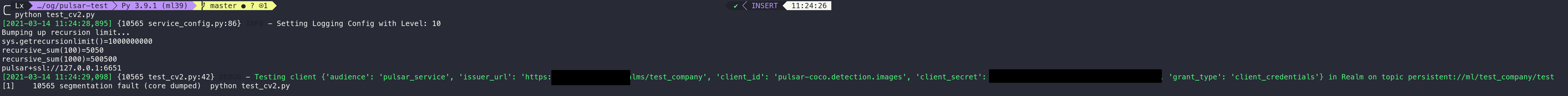 Python Client Segmentation Fault Core Dumped Or Free Invalid Pointer Errors · Issue 9906