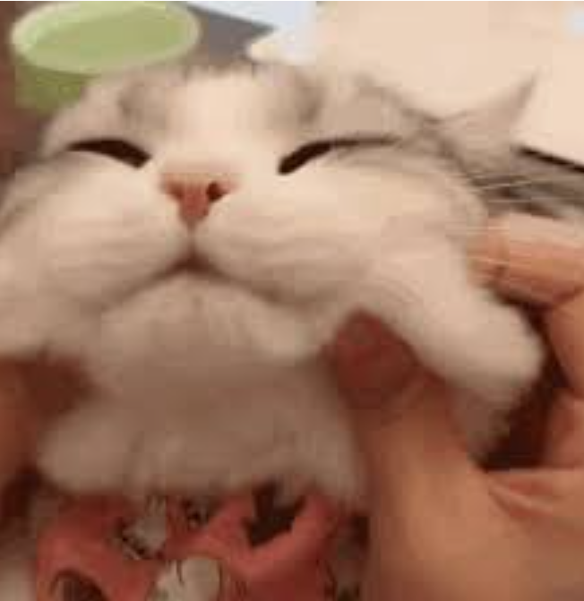 When adding a git tag, it crashes · Issue #11058 · gitextensions/gitextensions · GitHub