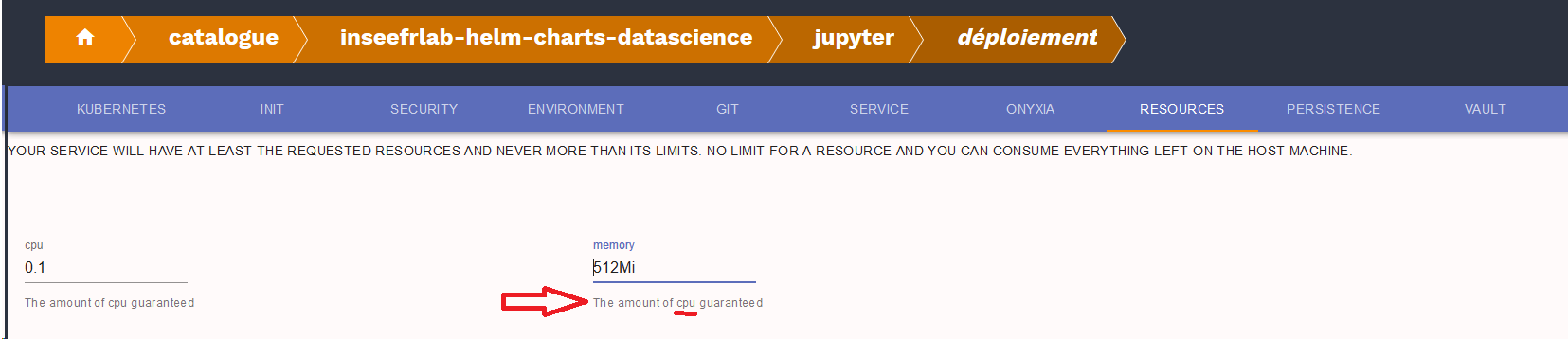 "Amount of CPU guaranteed" présent deux fois · Issue #208 · InseeFrLab/onyxia · GitHub