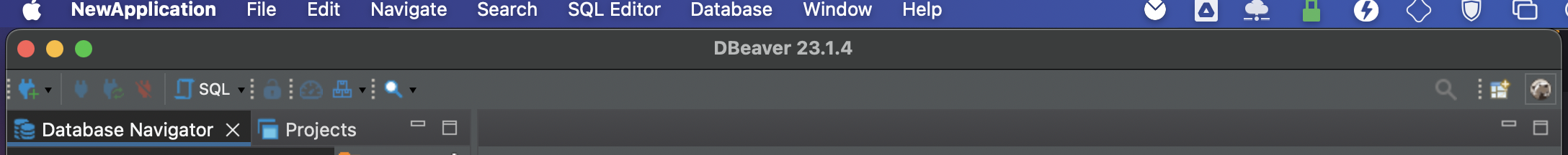 "NewApplication" in menu bar · Issue #20822 · dbeaver/dbeaver · GitHub