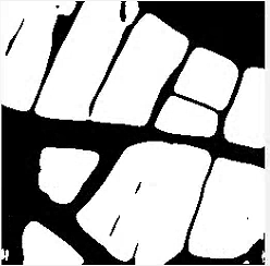 后处理问题 · Issue #1 · long123524/SEANet_torch · GitHub