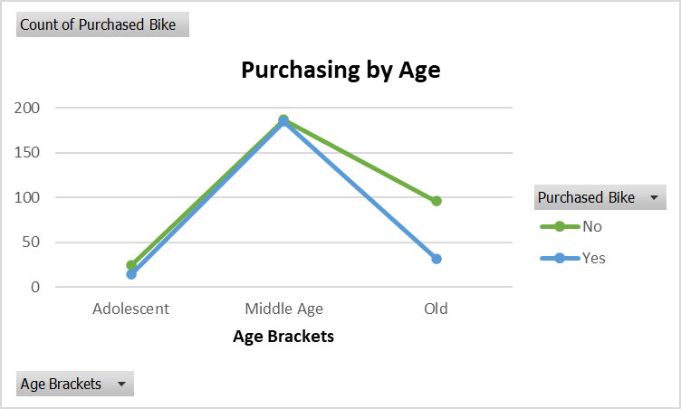 GitHub - hashinil/excel_Bike_Sales_Dashboard