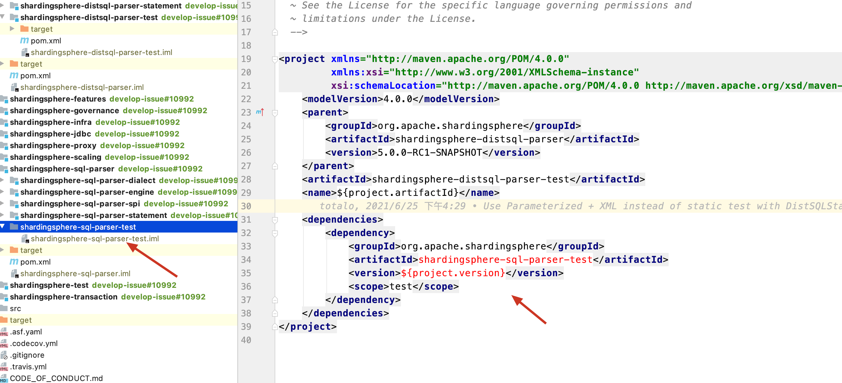 Add Unit Test For Shardingsphere Sql Parser Engine · Issue 10992 · Apache Shardingsphere · Github