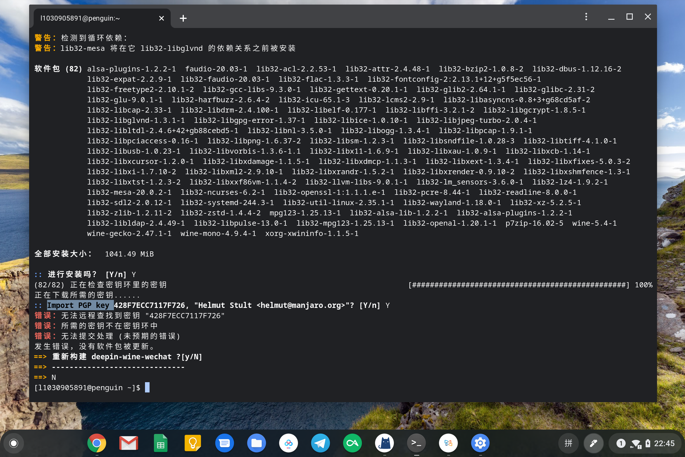 安装时密钥无法导入 · Issue #49 · vufa/deepin-wine-wechat-arch · GitHub