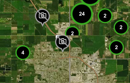 Clustering using symbol layers has a myriad of issues · Issue #4892 · mapbox/mapbox-gl-js · GitHub