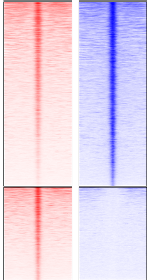 How can I set `plotheatmap` to different colors for different `.bed` file regions? · Issue #1166 ...