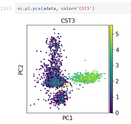 umap failed to cluster the cells · Issue #2386 · scverse/scanpy · GitHub
