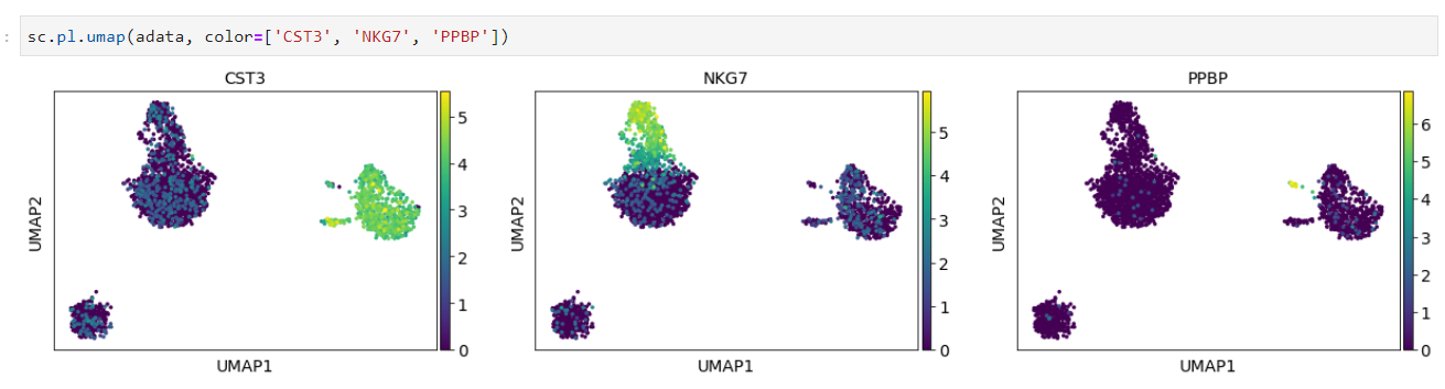 umap failed to cluster the cells · Issue #2386 · scverse/scanpy · GitHub