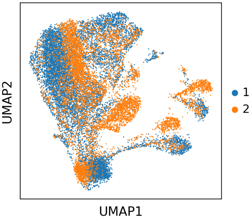 umap failed to cluster the cells · Issue #2386 · scverse/scanpy · GitHub