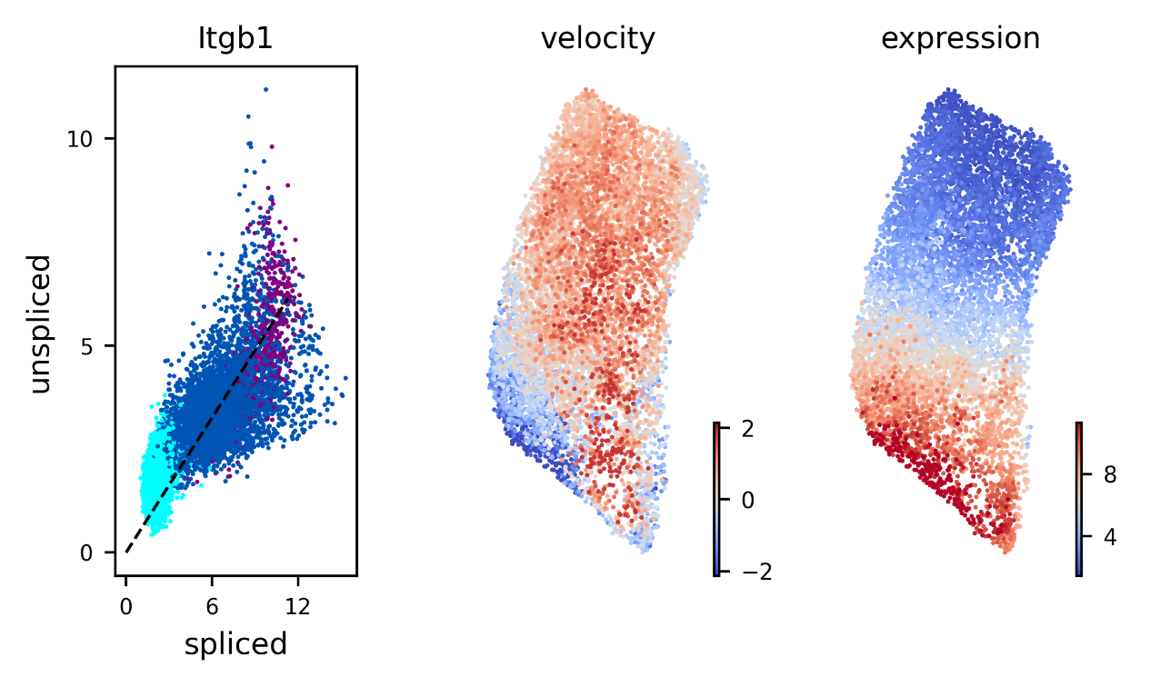 `StopIteration`, `scv.pl.velocity` can't plot velocity when the `mode="dynamical"` · Issue #1033 ...