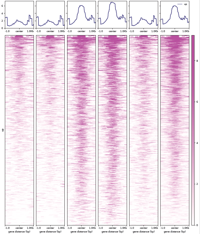 How To Make The Profile Line More Smooth · Issue 1221 · Deeptools Deeptools · Github