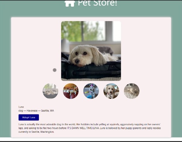 GitHub - trizzi/pet-store