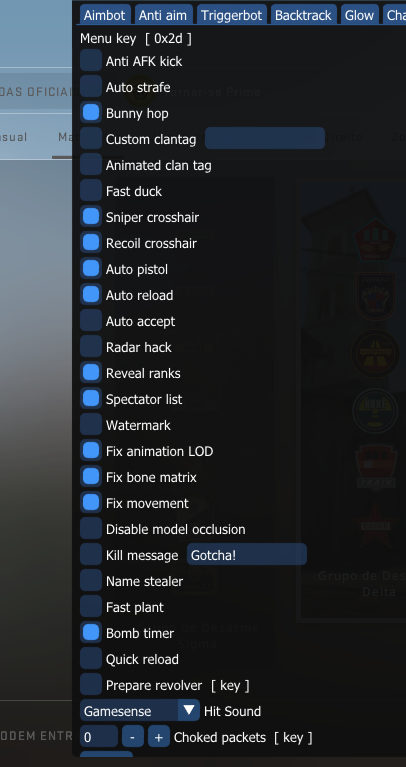 [Bug] Item Table Misc out window · Issue #478 · danielkrupinski/Osiris · GitHub