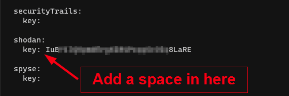 "Missing API key for Shodan" even if API Key is there · Issue #747 ...
