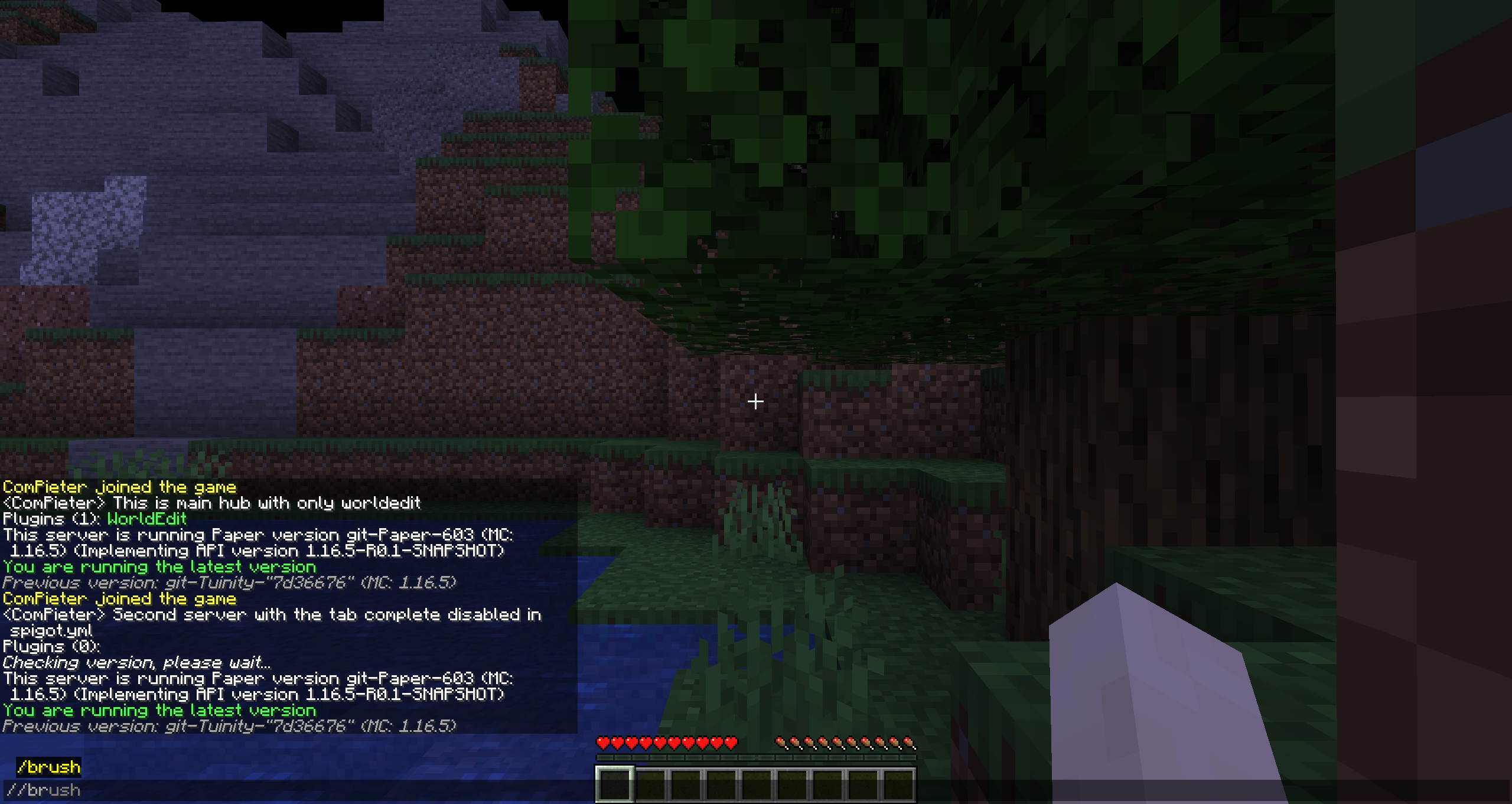 TabCompletion not resetting on server switch with waterfall if disabled. · Issue #5511 · PaperMC ...