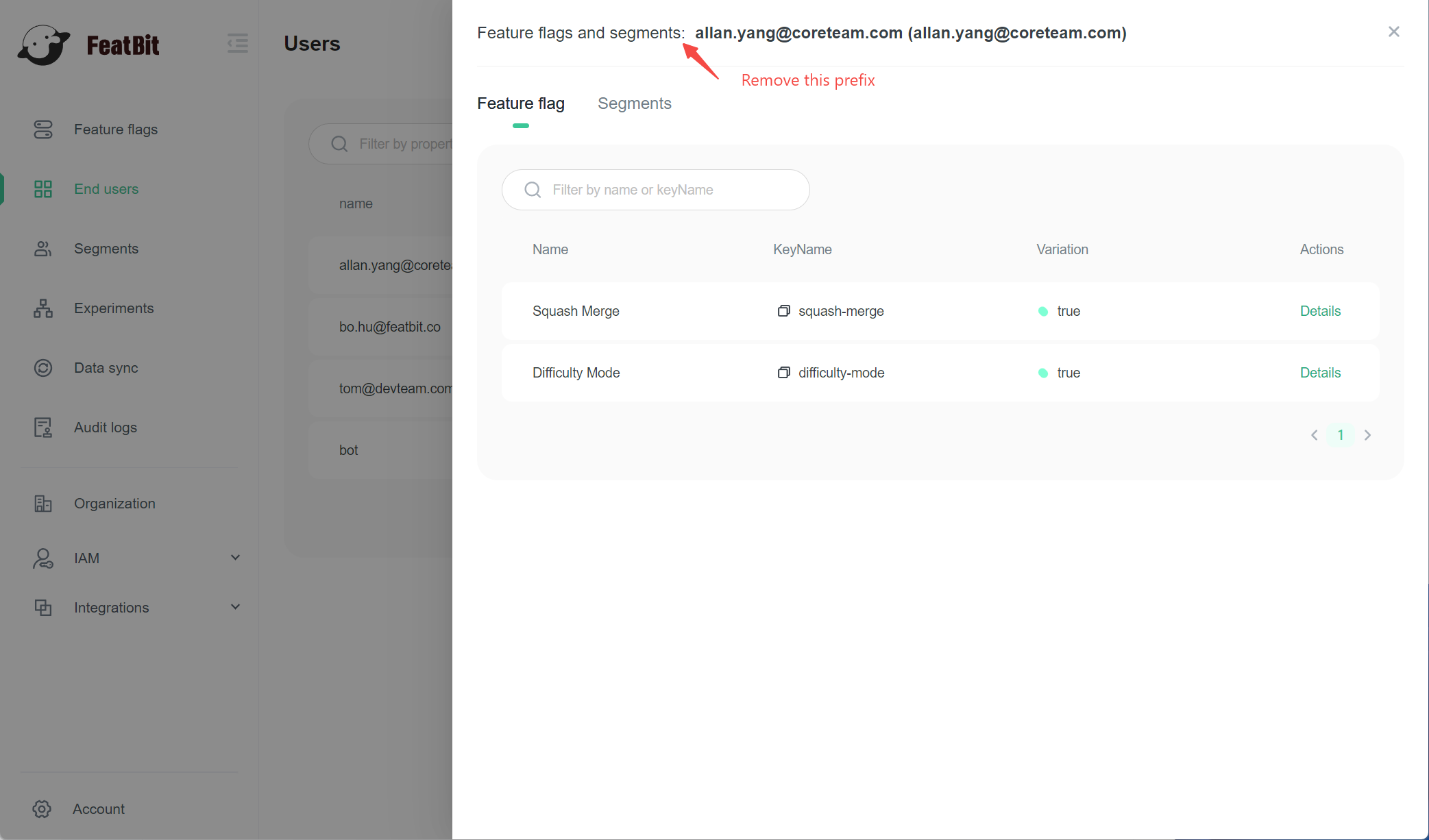 [Good First Issues]: Change "Feature flags and segments" to "Evaluate on flags and segments ...