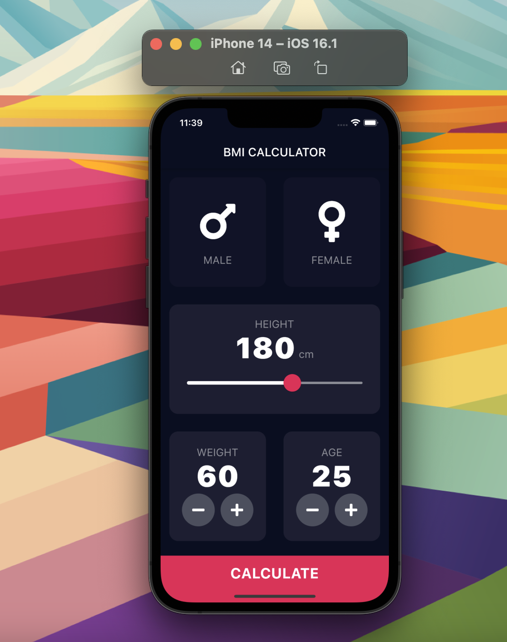 GitHub - 1ethansempa/bmi-calculator