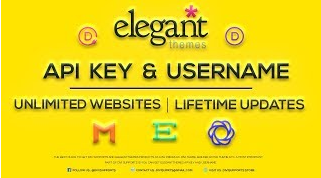 DIVI API Key · GitHub