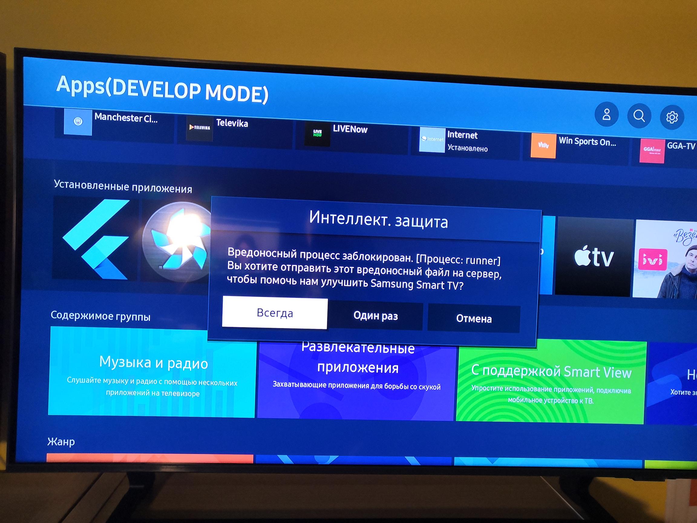 Denided Run App With C Runner On Tizen 6 · Issue 268 · Flutter Tizen Flutter Tizen · Github